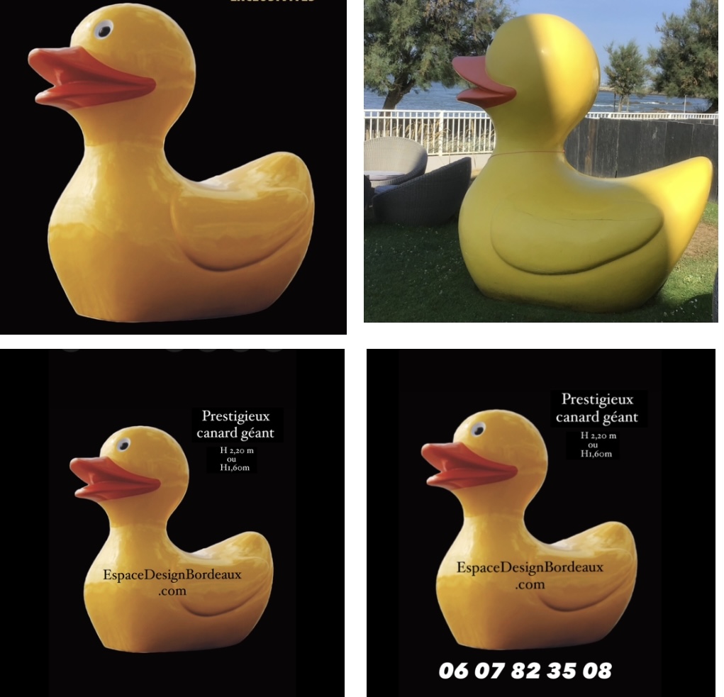 Canard Espace Design et la Décoration Extérieure Personnalisée - Espace ...